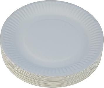 Hotpack Disposable Paper Plate - 7 - 100 Pcs : Amazon.ae: Kitchen