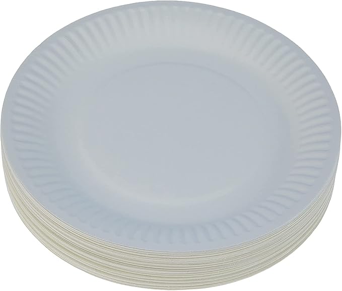 Hotpack Disposable Paper Plate - 7 - 100 Pcs : Amazon.ae: Kitchen