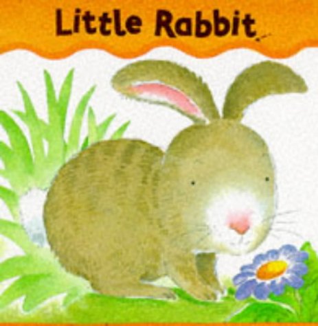 Little Rabbit (Baby Animal Board Books): Smee, Nicola: 9781852139667 ...