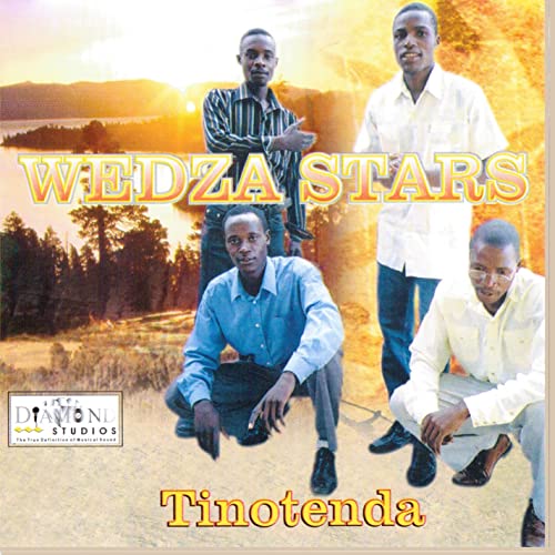 Amazon.com: Tinotenda : Wedza Stars: Digital Music