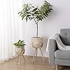Amazon.com: Navaris Rattan-Style Plant Stand Set For House And Outdoor ...