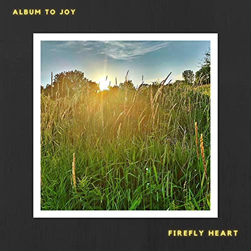 Album to Joy de Firefly Heart en Amazon Music Unlimited