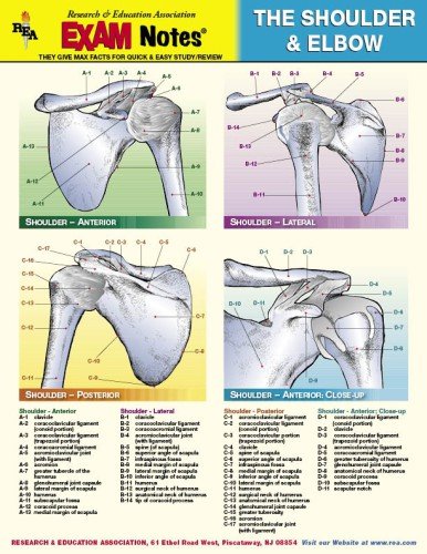 Buy Exam Notes Shoulder and Elbow St (Exam Notes Reference Charts) Book ...