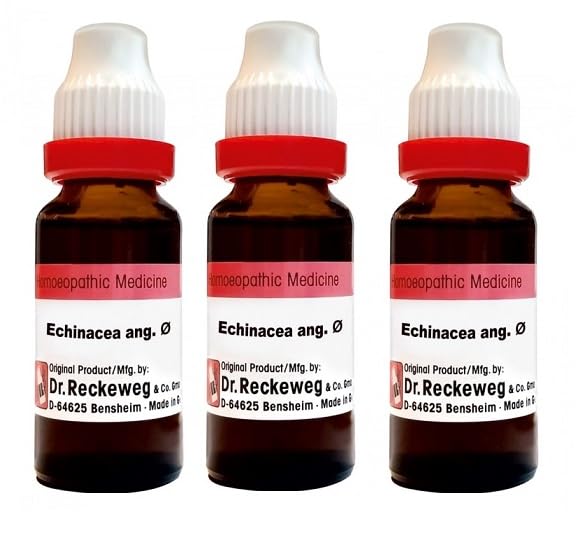 Buy Echinacea Ang.Q 20ml Dr Reckeweg (Pack Of 3) Online at Low Prices ...