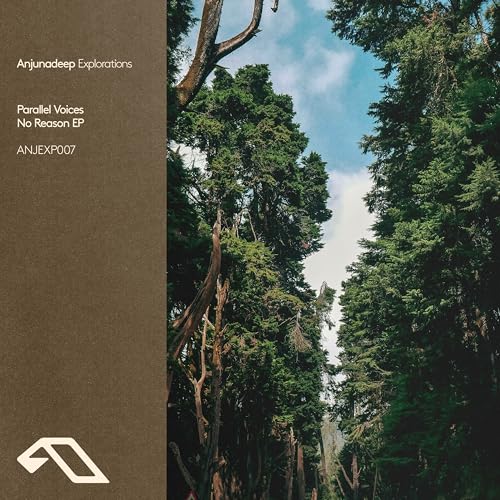 Play No Reason EP by Parallel Voices on Amazon Music