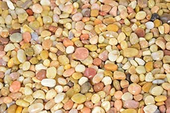 Amazon.com: Generic 30 Lbs. Large Salmon Bay Pebbles for Bonsai Tree ...