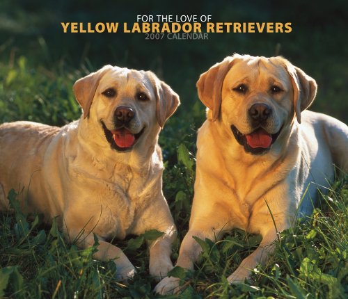 For the Love of Yellow Labrador Retrievers 2007 Deluxe Calendar ...