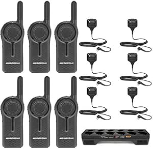 Amazon.com: DLR1020 - Radio digital sin licencia de 2 canales de 900 ...