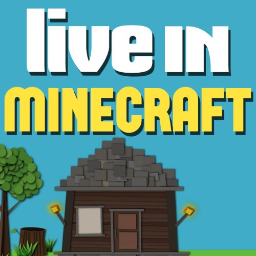 Amazon.com: Live in Minecraft : BebopVox & Lindee Link: Digital Music
