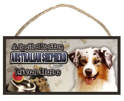 Amazon.com: A Spoiled Rotten Australian Shepherd Lives Here Dog Sign ...