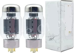 Amazon.com: KT88-PT tube upgrade KT120 KT88 6550 WEKT88 KT100 KT66 HIFI audio tube amplifier DIY ...