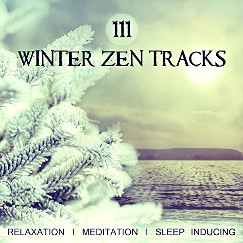 111 Winter Zen Tracks - Relaxation, Meditation, Sleep Inducing, Take ...