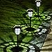 SOLPEX Solar Lights for Outside, Solar Outdoor Lights 8 Pack, Up to 10 ...