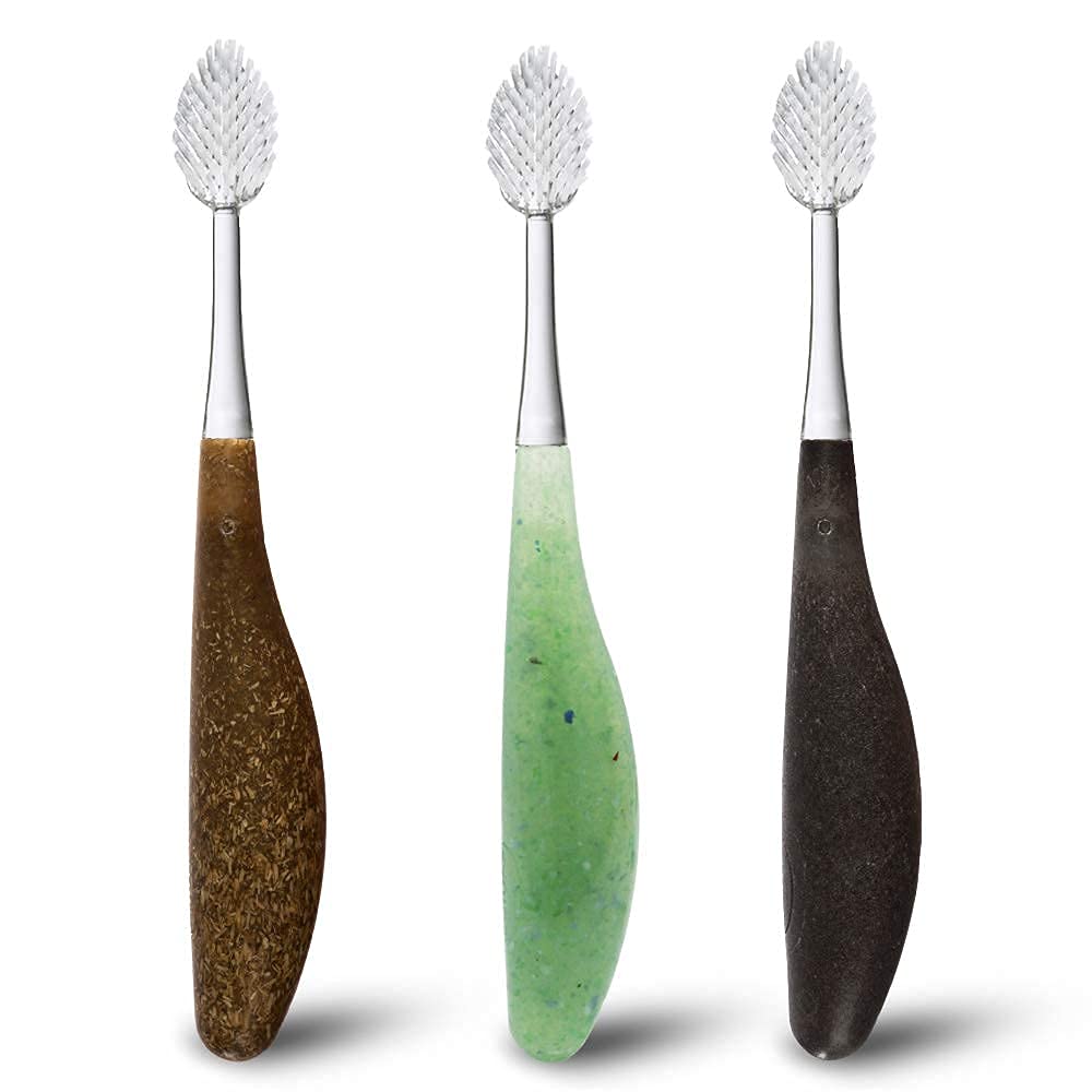 RADIUS Cepillo de dientes Fuente de hilo dental sin BPA y aceptado por ...