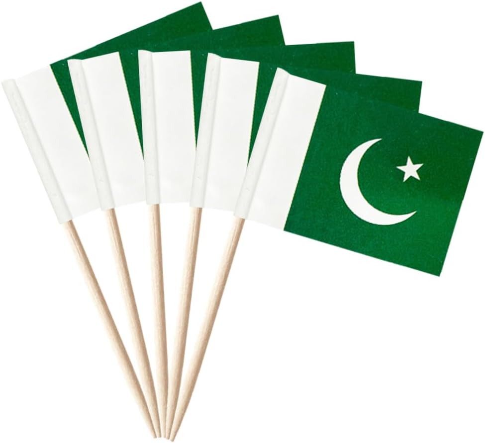 Amazon.com : stidsds 100 Pcs Pakistan Flag Pakistan Toothpick Flags ...