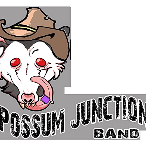 On The Run (feat. Peyton Boling) de Possum Junction en Amazon Music ...
