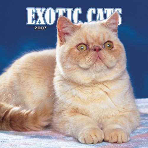 Exotic Cats 2007 Calendar: Browntrout Publishers: 9781421605586: Amazon.com: Books