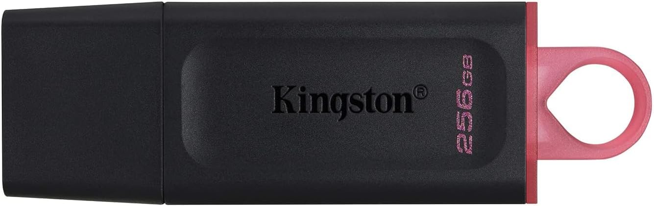 Pen Drive Kingston DataTraveler Exodia 256GB DTX/256GB | Amazon.com.br