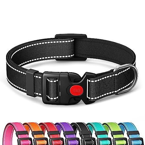 Most Comfortable Dog Collar – The 15 best products compared - Wild ...