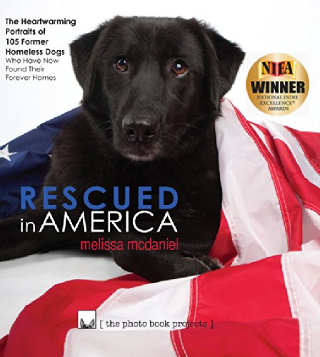 Rescued in America: The Heartwarming Portraits & Stories of 105 Former ...