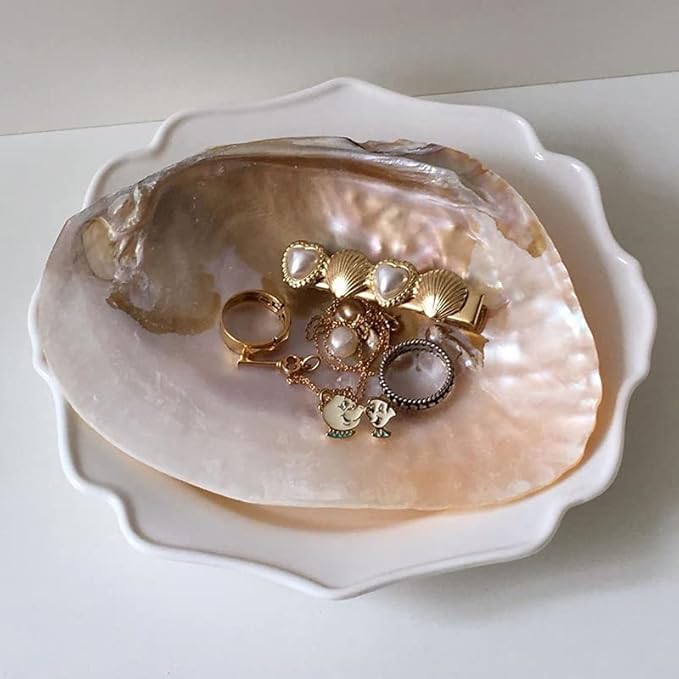 Amazon.com: Wowagoga Natural Shell Jewelry Dish Tray Decorative Trinket ...