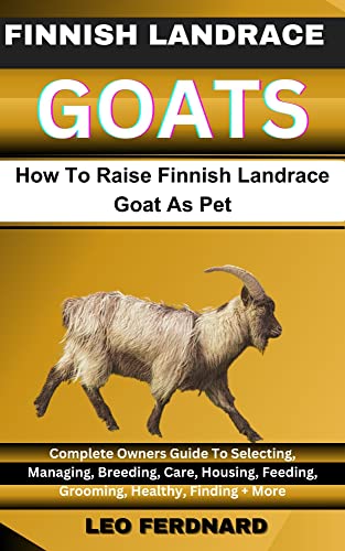 Finnish Landrace Goat