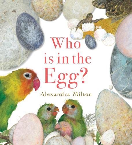 Who is in the Egg?: Amazon.co.uk: Alexandra Milton, Alexandra Milton ...