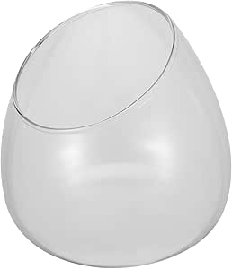 Yardwe Slant Cut Bowl Glass Vase Clear Bubble Bowl Slanted Globe Terrarium Flower Vase Round ...