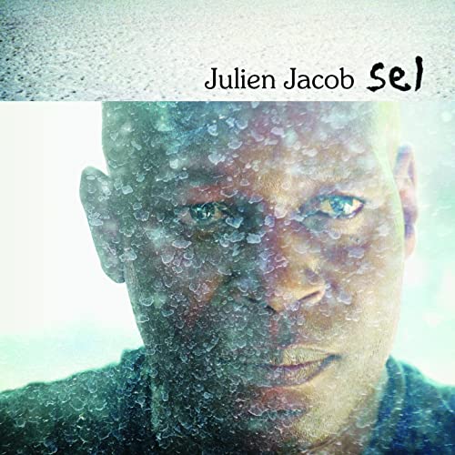 Amazon.com: Sel : Julien Jacob: Digital Music