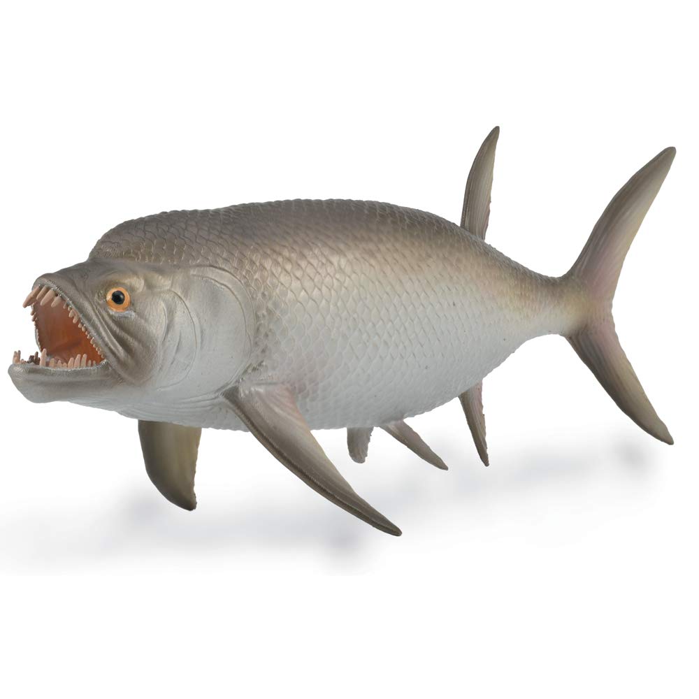 Xiphactinus Model Model Of Xiphactinus Sp. (fossil Fish) (Niobrara