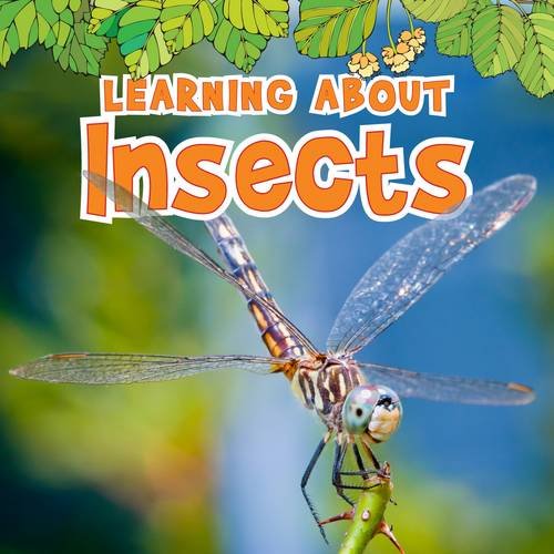Learning About Insects (The Natural World): Amazon.co.uk: Catherine ...