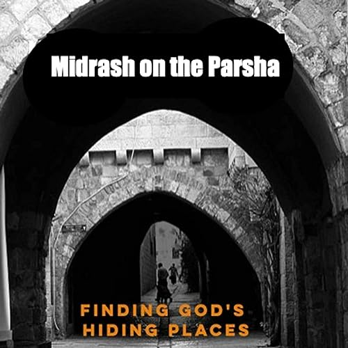 Amazon.com: Midrash on every Parsha in the Torah. An intriguing pathway ...