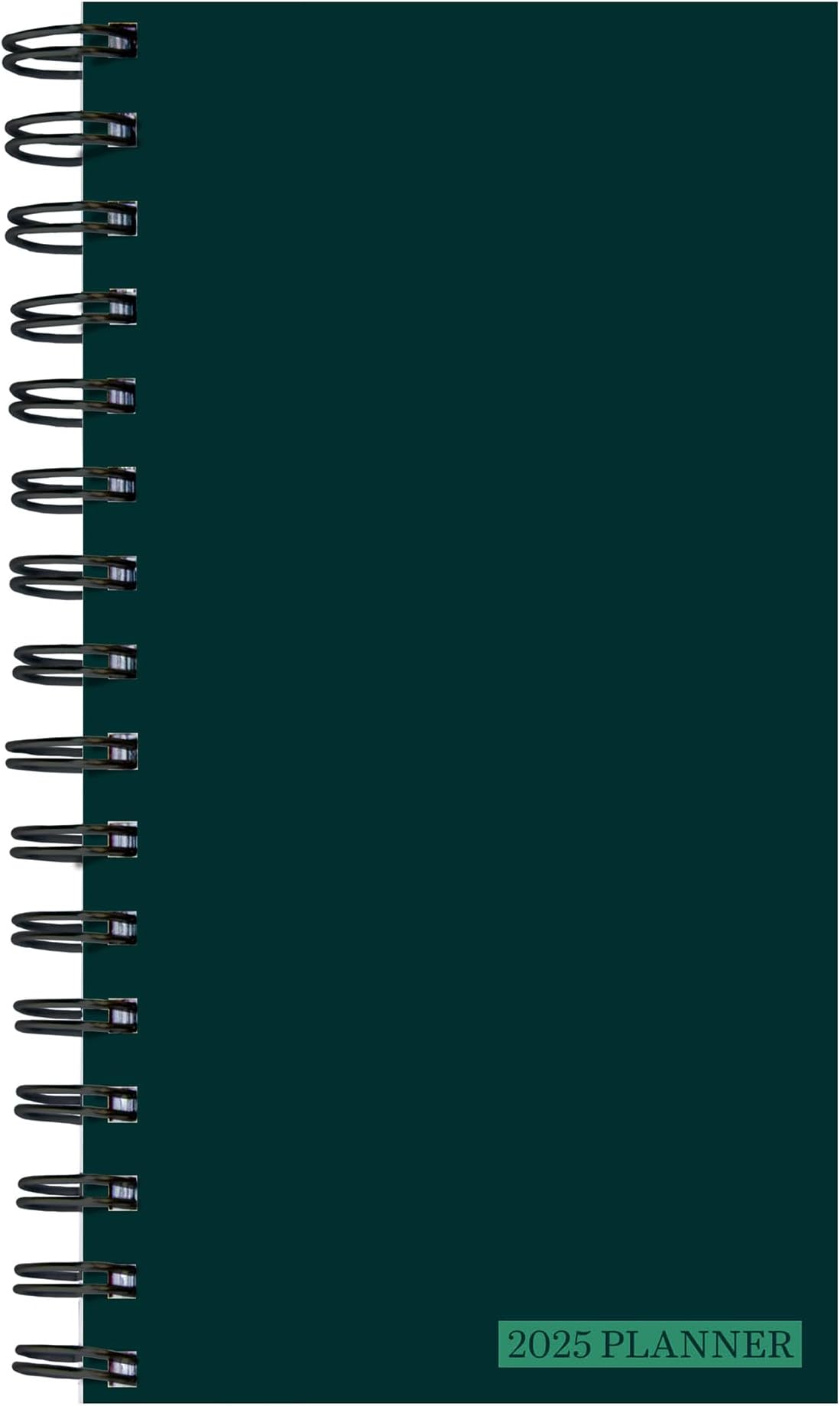 Amazon.com: TF PUBLISHING 2025 Deep Jade Small Weekly Monthly Planner ...
