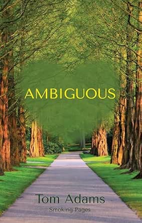 Amazon | Ambiguous (English Edition) [Kindle edition] by Adams, Tom ...
