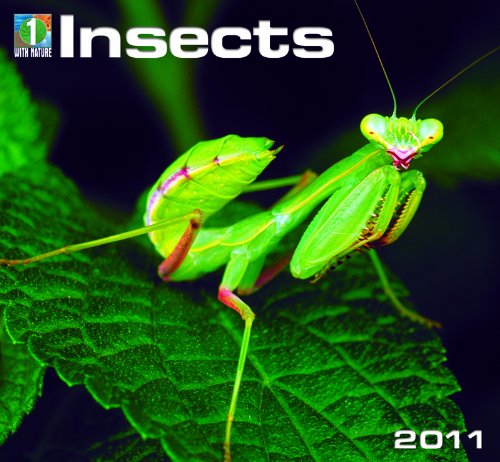 Insects 2011 Calendar (1 with Nature (Calendars)) : Zebra Publishing ...
