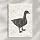 Brown goose and feathers (A5) : Amazon.co.za: Home & Kitchen