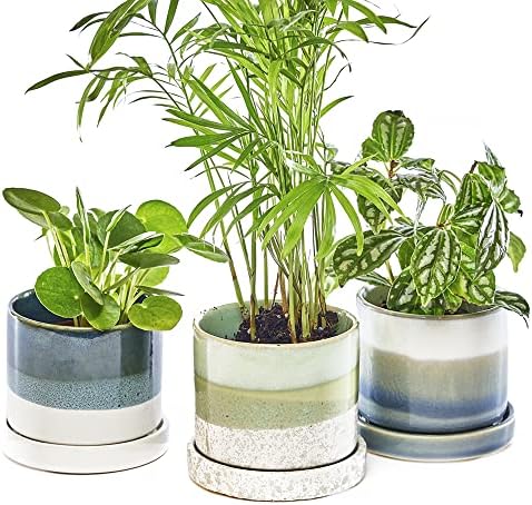 Amazon.com: Chez JuJu Assorted Nordic Cement Succulent Pots 3.5 ...