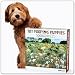 Amazon.com: The Original 1000 Piece Puzzle, 101 Pooping Puppies, Dogs ...