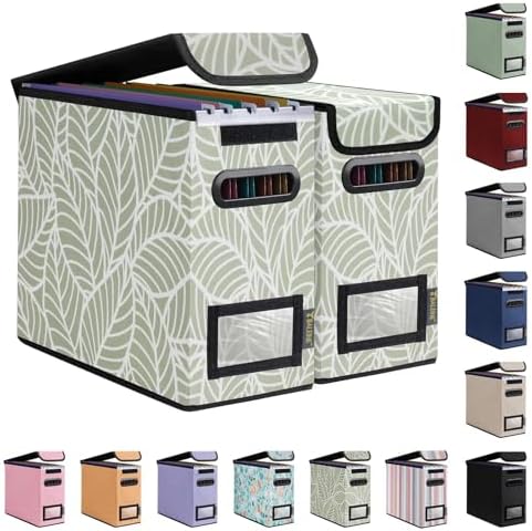 Amazon.com: BALEINE File Organizer Box with Lid, Collapsible File ...