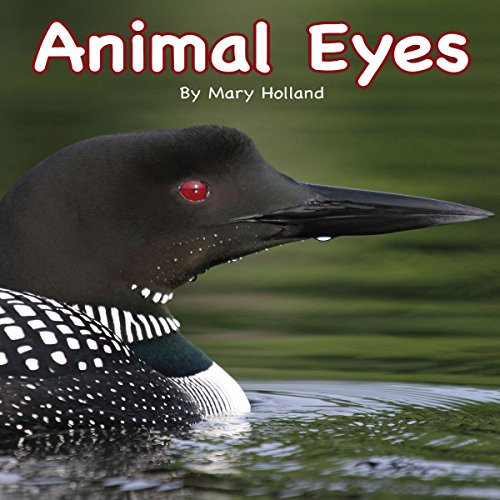Animal Eyes (Audio Download): Mary Holland, Jordan Fredrickson ...