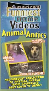Animal Antics [VHS]: Amazon.de: DVD & Blu-ray