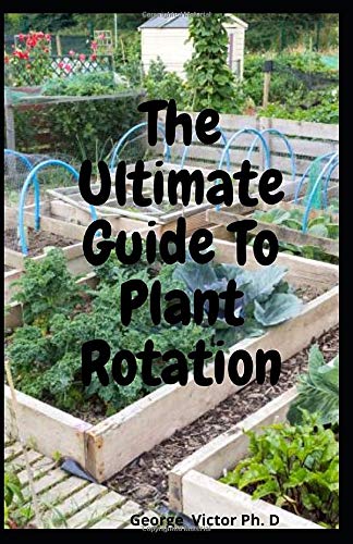 Buy The Ultimate Guide To Rotation: Everything you need to know about ...