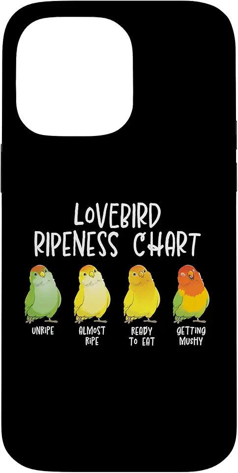 The Ultimate Guide To The Size Of Parrots: Everything You Need To Know ...