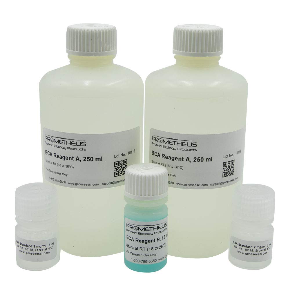 Buy BCA Protein Assay Kit, with BSA Protein Standard, 2,500 Assays/Unit ...