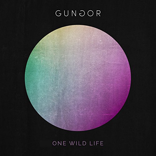 Amazon.com: One Wild Life : Gungor: Digital Music
