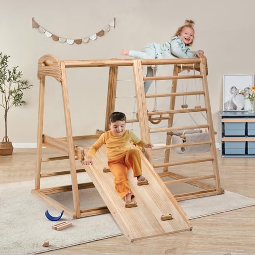Amazon.com: Avenlur 4-in-1 Juniper Indoor Play Gym - Jungle Gym Playset ...