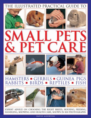 The Illustrated Practical Guide to Small Pets and Pet Care: Expert ...