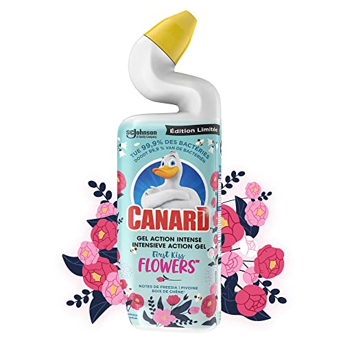 Canard WC : le top 30 des meilleurs de 2023 | Achat Gagnant