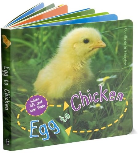 Amazon.com: Egg to Chicken (Life Cycles Series): 9781435125933: Camilla ...