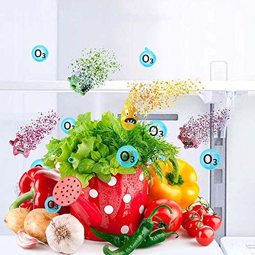 Zeerkeer Mini Ozone Generator, Portable Ozone Refrigerator Air Purifier ...